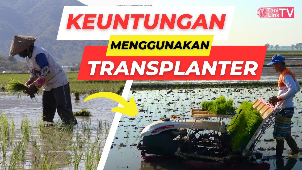 Inilah Keuntungan Menggunakan Mesin Tanam Padi Modern (Rice ...