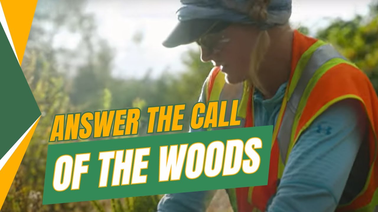 Answer the Call of the Woods with a Career in Forestry - YouTube