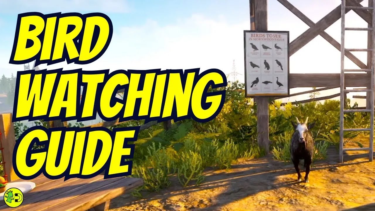 Goat Simulator 3 Bird Watching Event Guide - YouTube