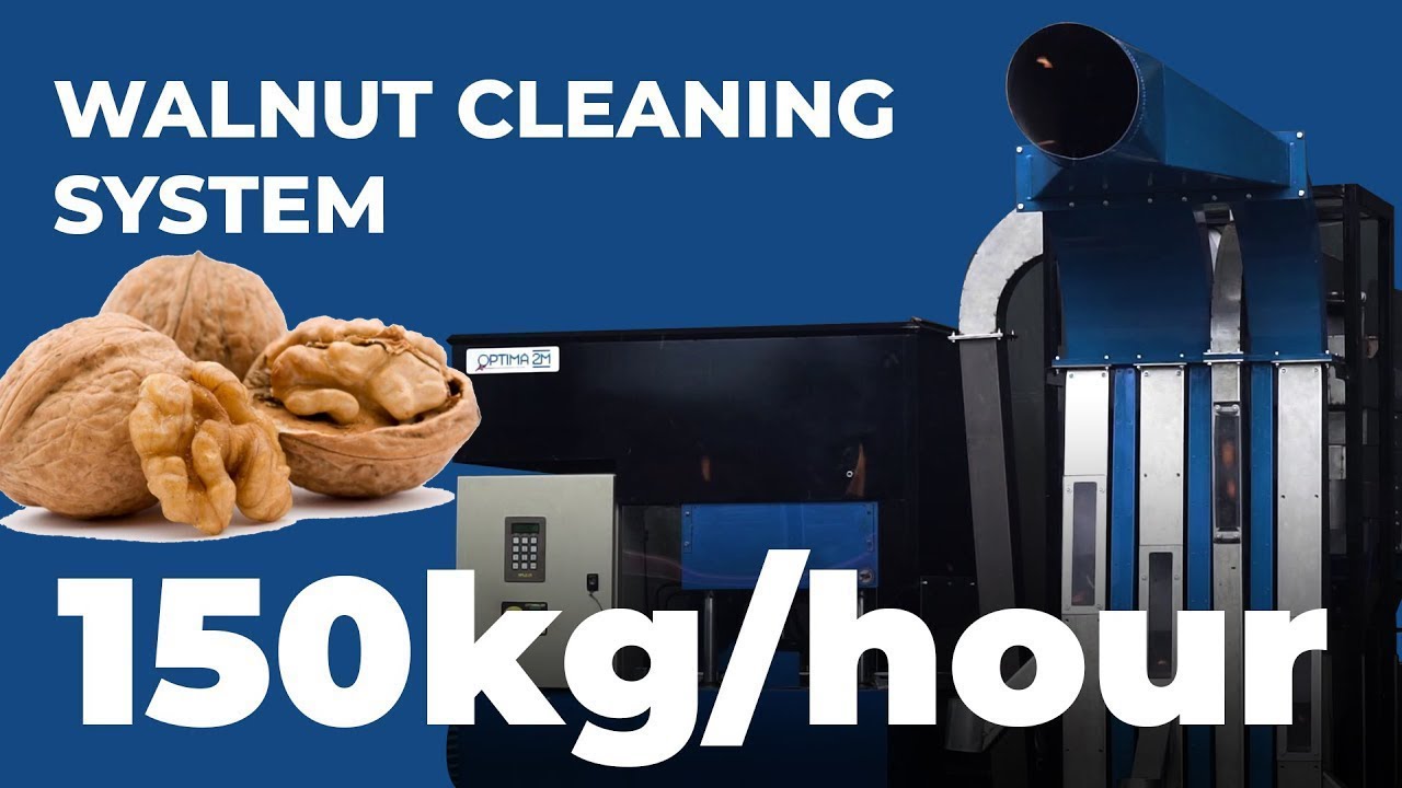 Automatic walnut cracking separating shelling line - YouTube