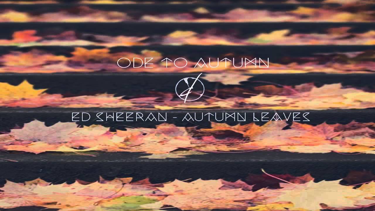 Ed Sheeran - Autumn Leaves - YouTube