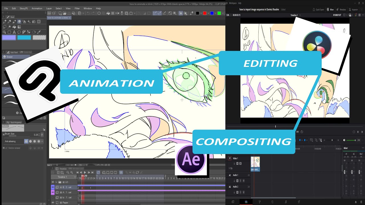 how to export your animations in Clip studio paint and Davinci resolve ...
