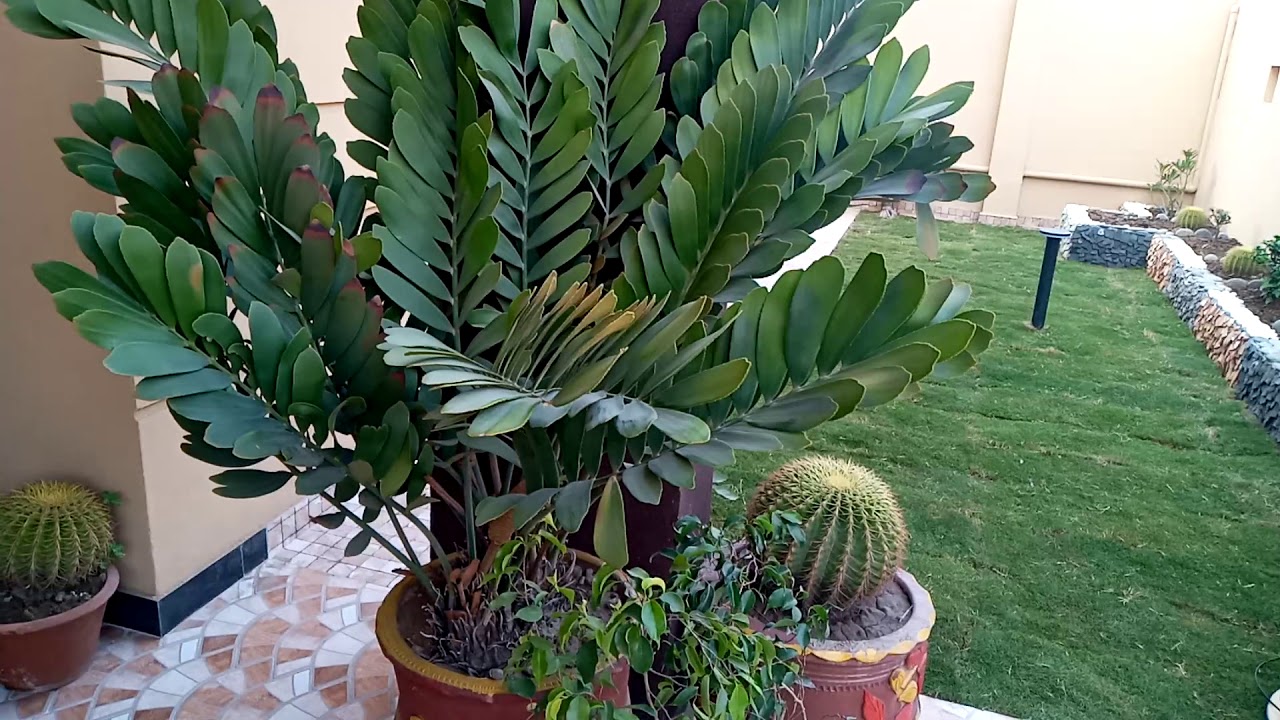 Good luck landscaping and stone design and garaas designing contact ...