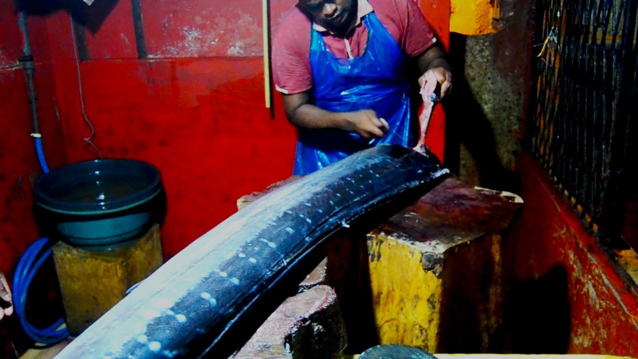 Cutting 8 Foot Indo-Pacific Sailfish Cutting | Fish Cutting Skills ...