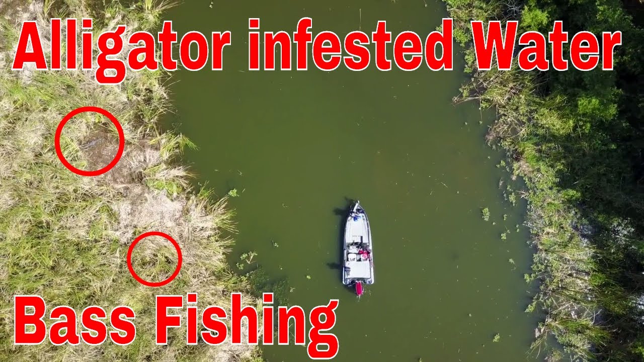 Fishing Alligator Infested Waters - YouTube