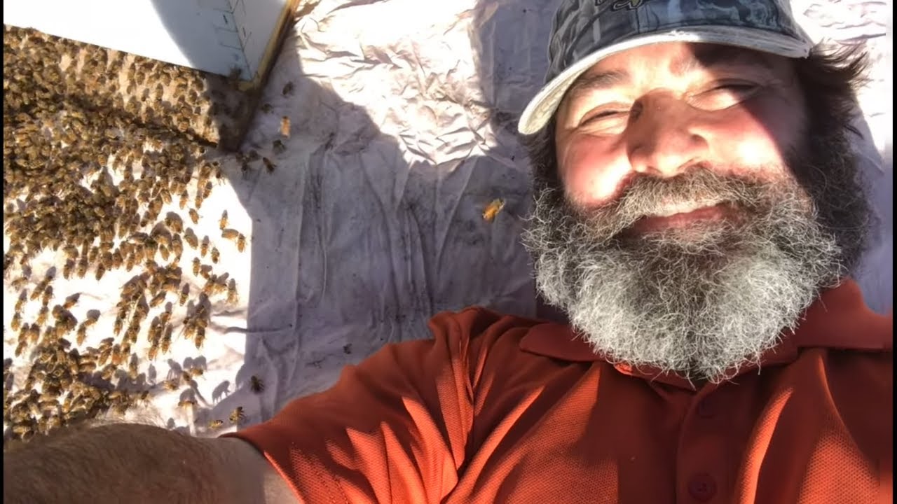 Bee Man Vs Bees On Fire Pit - YouTube