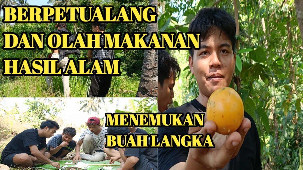 BERPETUALANG DAN MENEMUKAN BUAH LANGKA DITENGAH HUTAN||MEMASAK HASIL ...