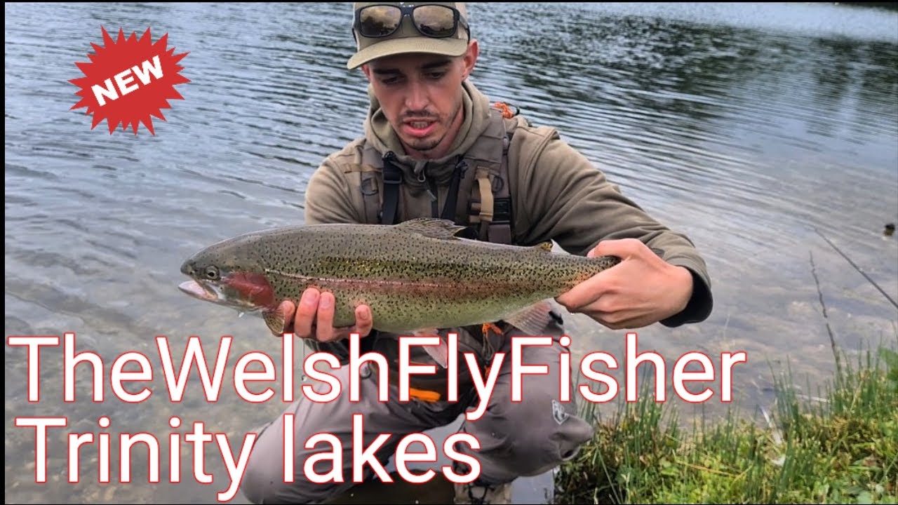 Dry fly fishing at Trinity Lakes - YouTube