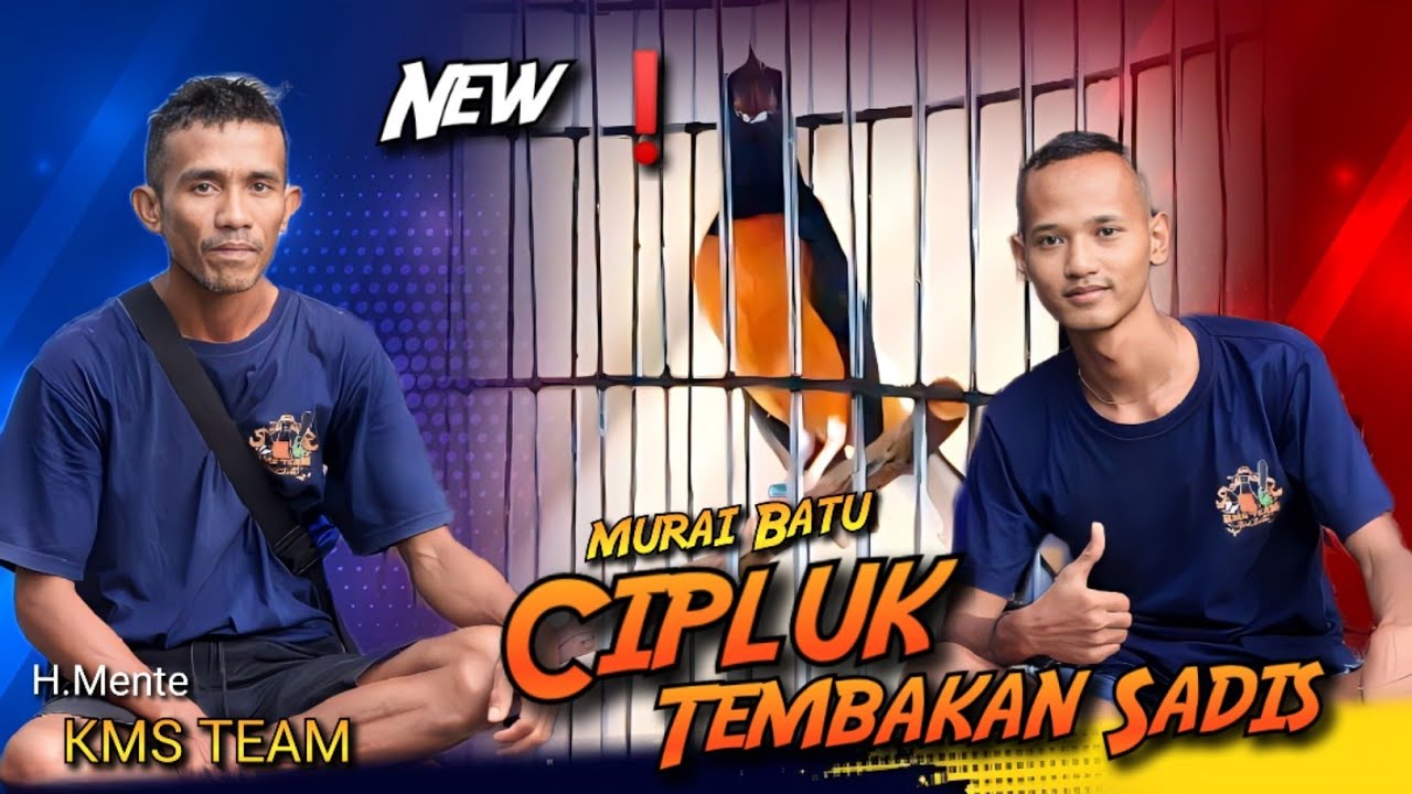 New mb Cipluk Tampil Meresahkan " Lagu Dan Volume Dahsyat - YouTube