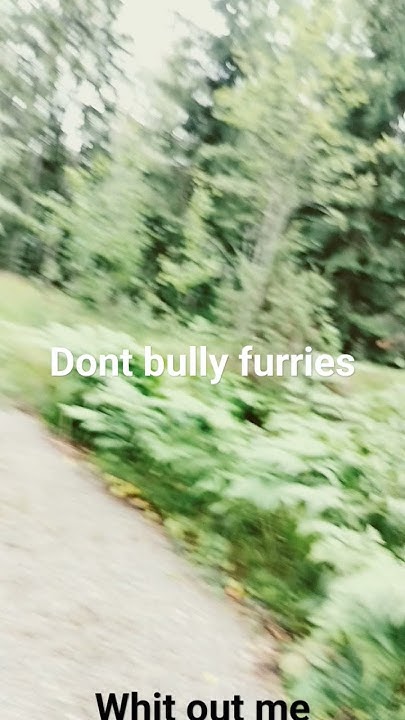 dont Bully furries - YouTube