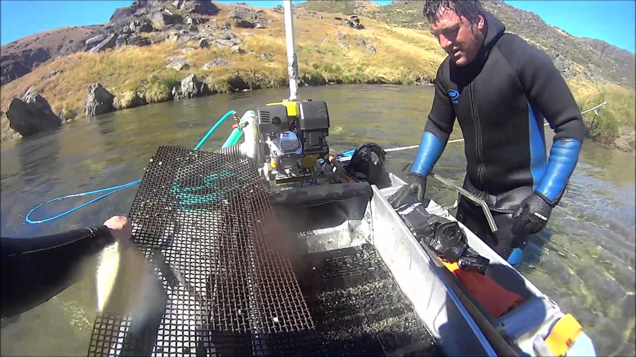 Gold dredging New Zealand 4" testing - YouTube