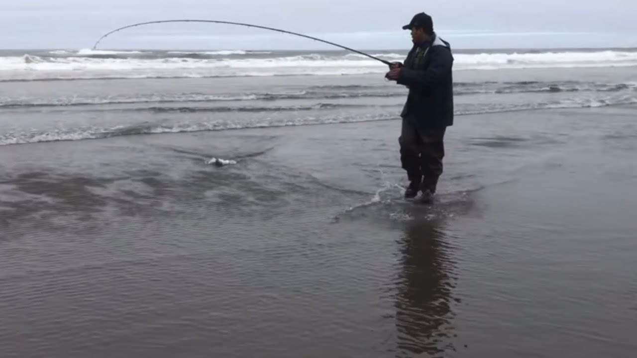 SURF PERCH WASHINGTON COAST FISHING - SLABS ALL DAY!! - YouTube
