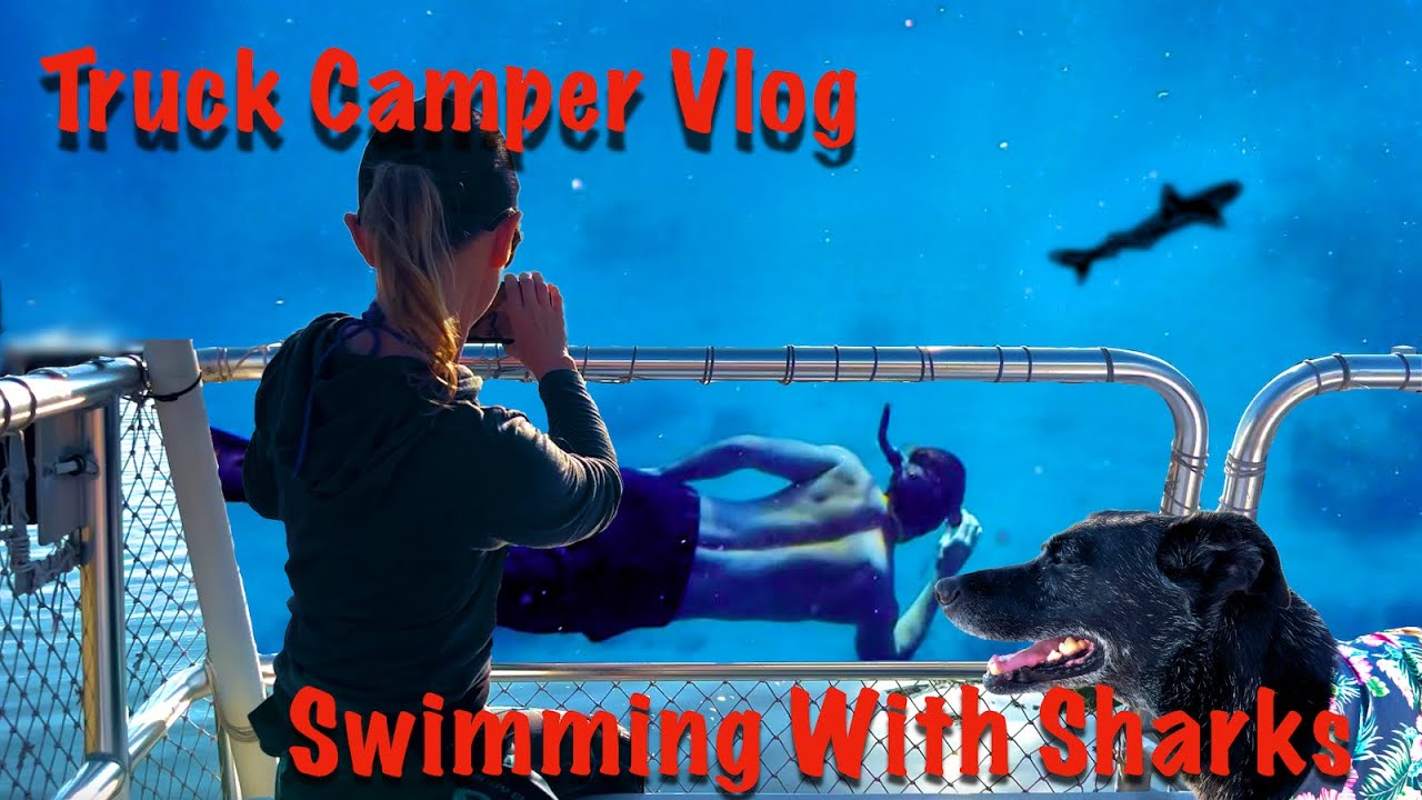 Florida Keys Underwater Adventure: Truck Camper Vlogs | RV Life ...