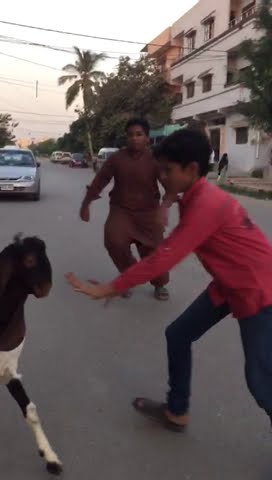 Munis Chota have fun? - YouTube