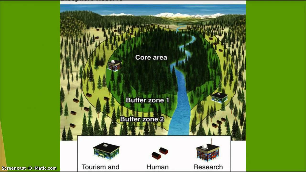 Designing Protected Areas - YouTube