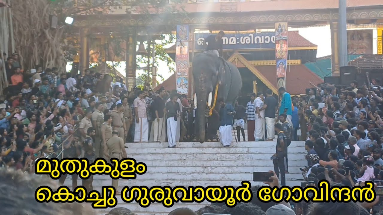 Muthukulam Kochuguruvayoor Govinthan 🔥#shortsfeed #sunilsajiavaniyil # ...