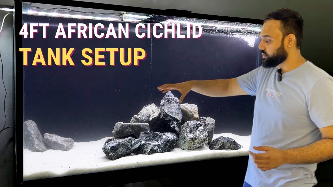 4Ft African Cichlid Tank Setup for Peacock Cichlids - YouTube