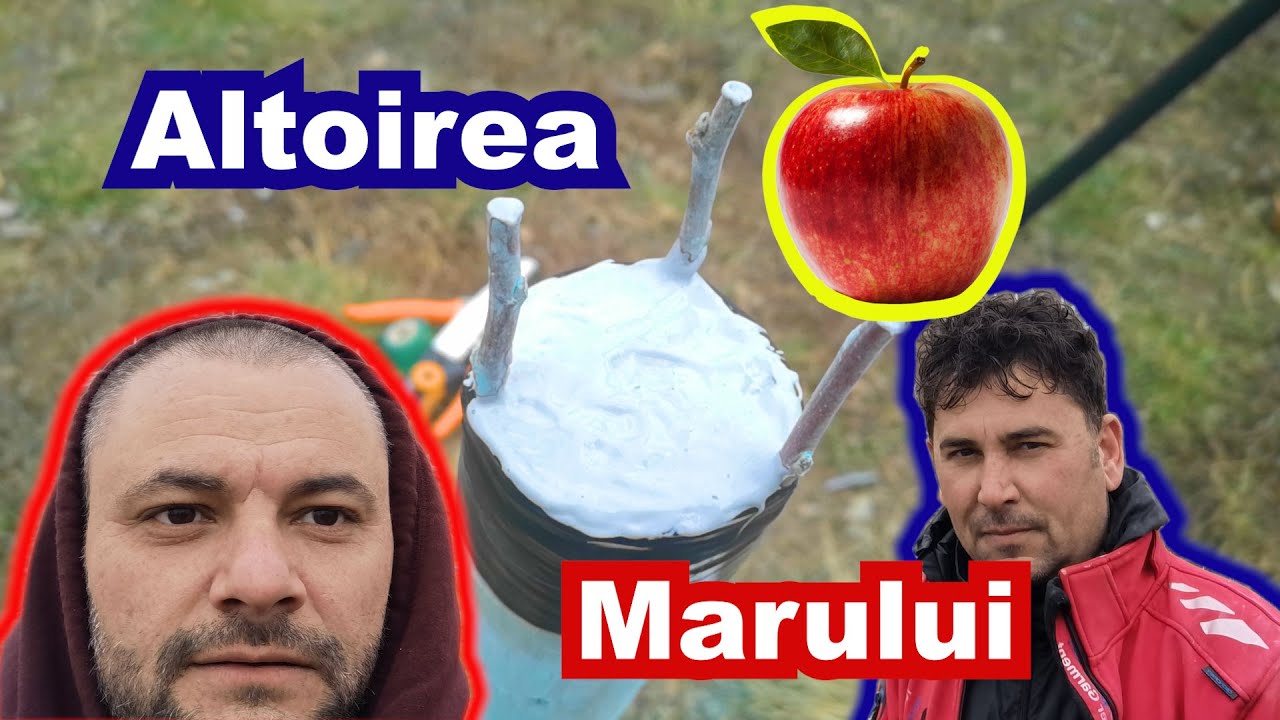 Altoirea Pomilor Fructiferi - YouTube