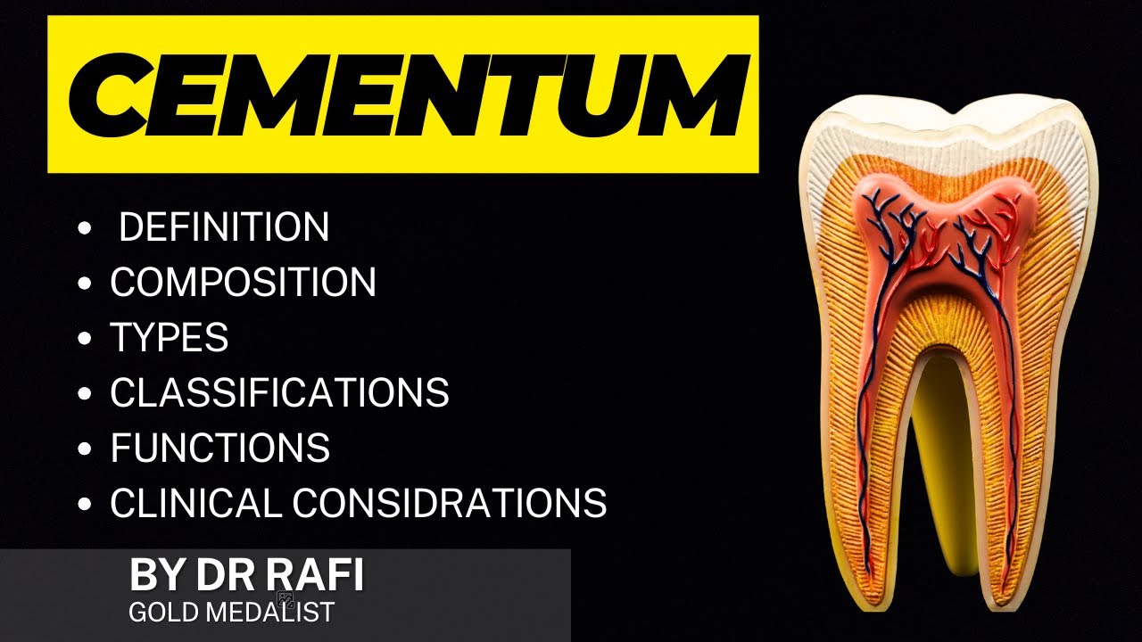 Cementum Best Lecture Ever | Normal Periodontium | periodontology ...