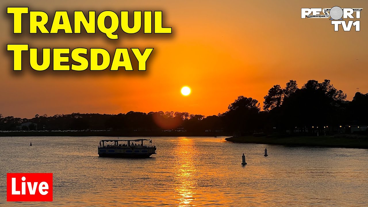 🔴Live: Tranquil Tuesday - Riding Boats Around the Resorts - Walt Disney ...