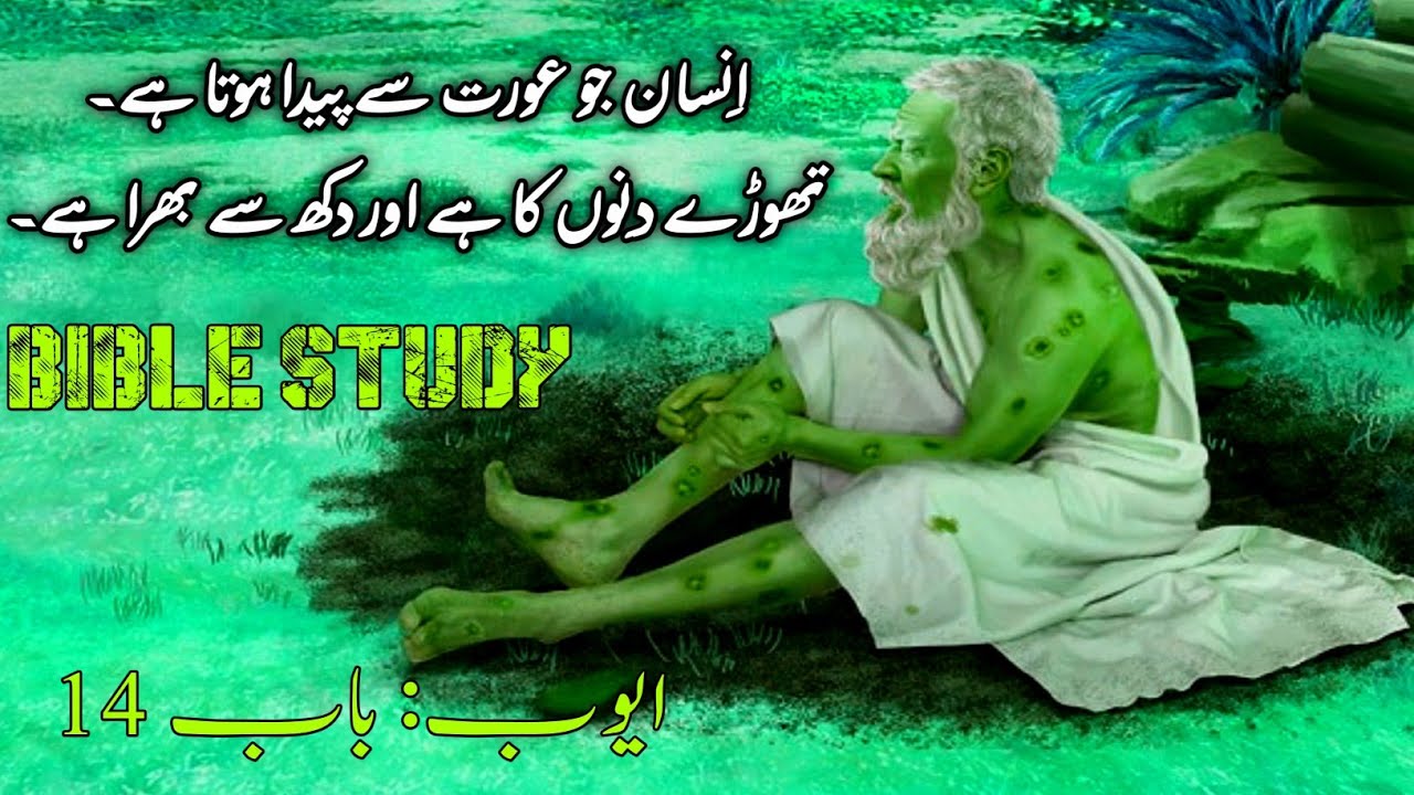 Ayub 14 | Job Chapter 14 | Bible study 2021 | Bible study | online ...