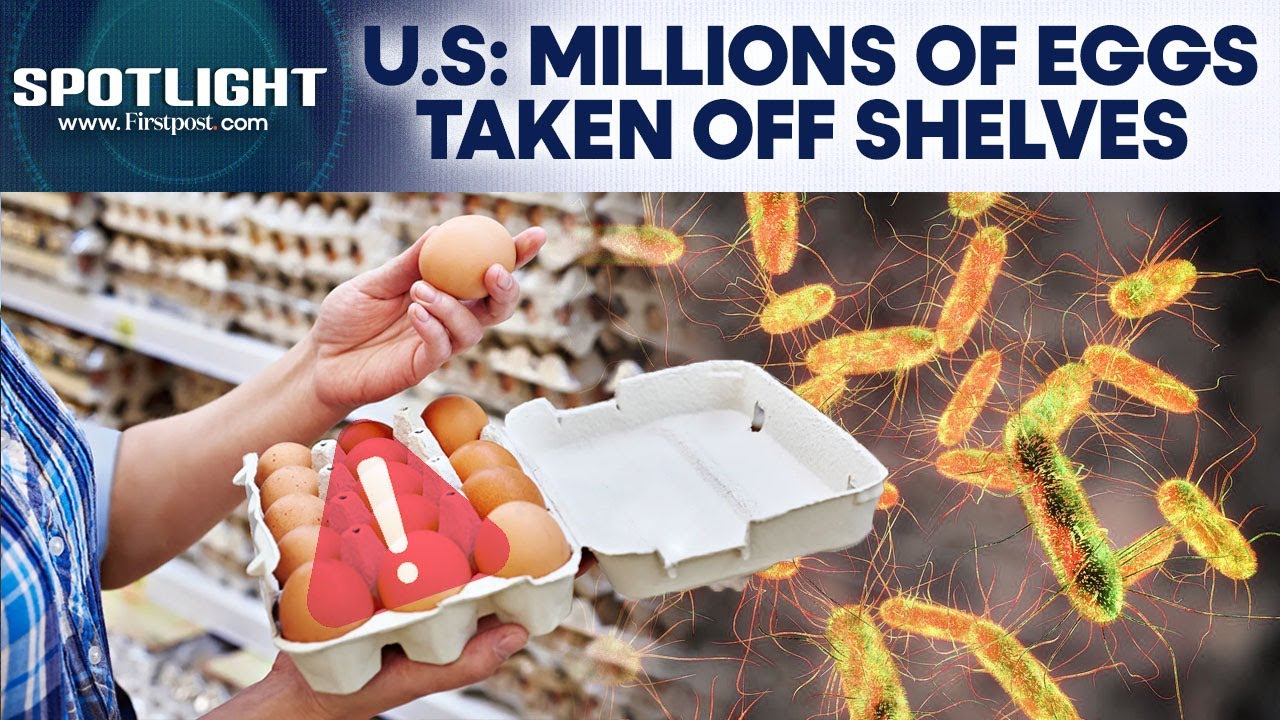 Over 6 Million Eggs Recalled In The US Over Salmonella Contamination Scare | Spotlight | N18G ...