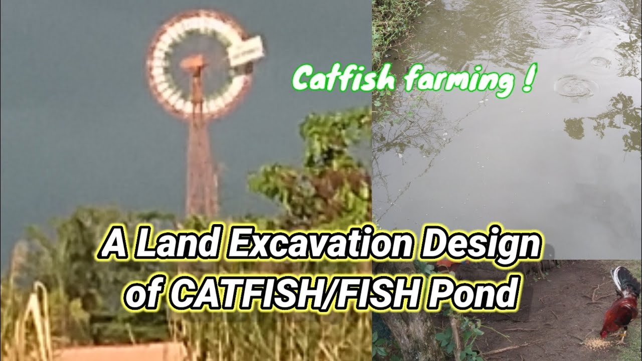 M004...CATFISH/FISH POND in a Land EXCAVATION DESIGN... - YouTube