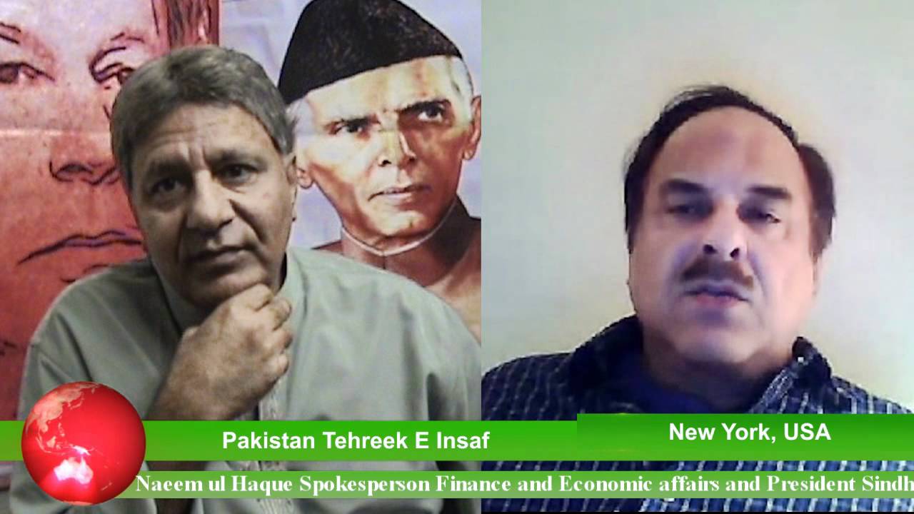Pakistan Tehreek E Insaf Spokesperson Finance and Economic affairs and ...