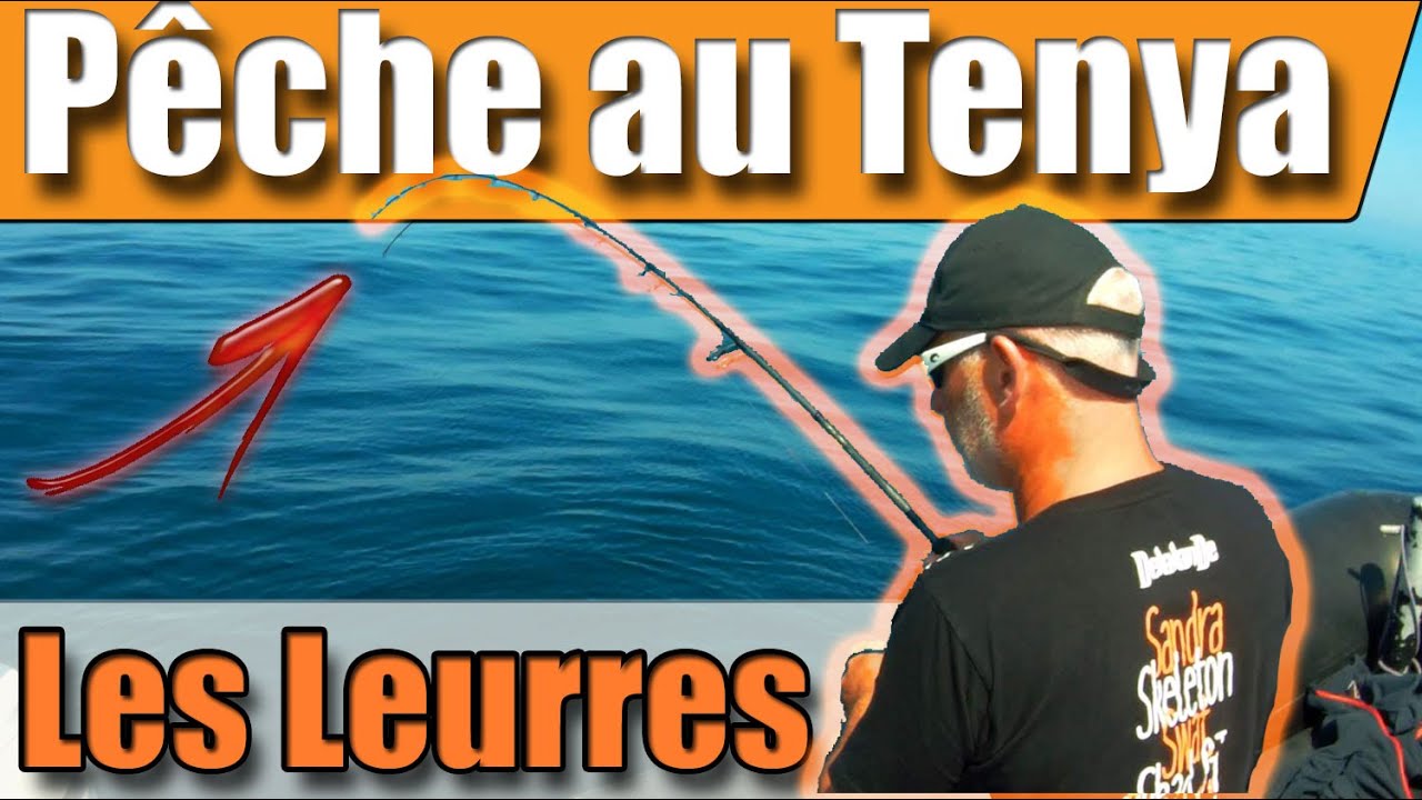 Pêche au TENYA : DECOUVREZ les leurres et techniques - Tenya, Kabura ...