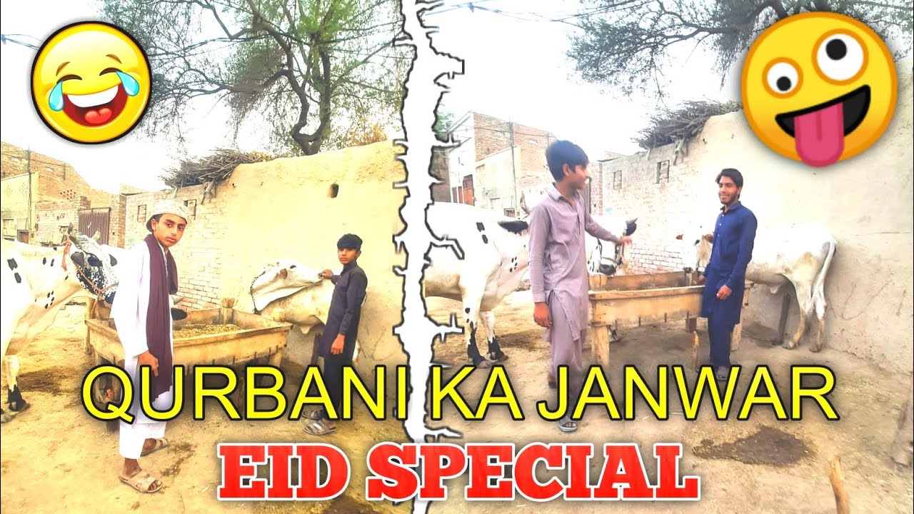Qurbani K Janwar Ley K Karobar Kr Rhy Thy😂 Game Ulti Par Gai😆 - YouTube