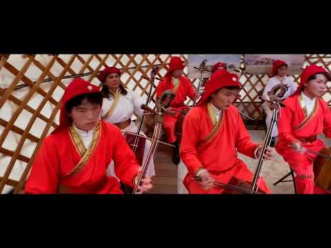 Ajnai - Black Stallion / Жалам хар