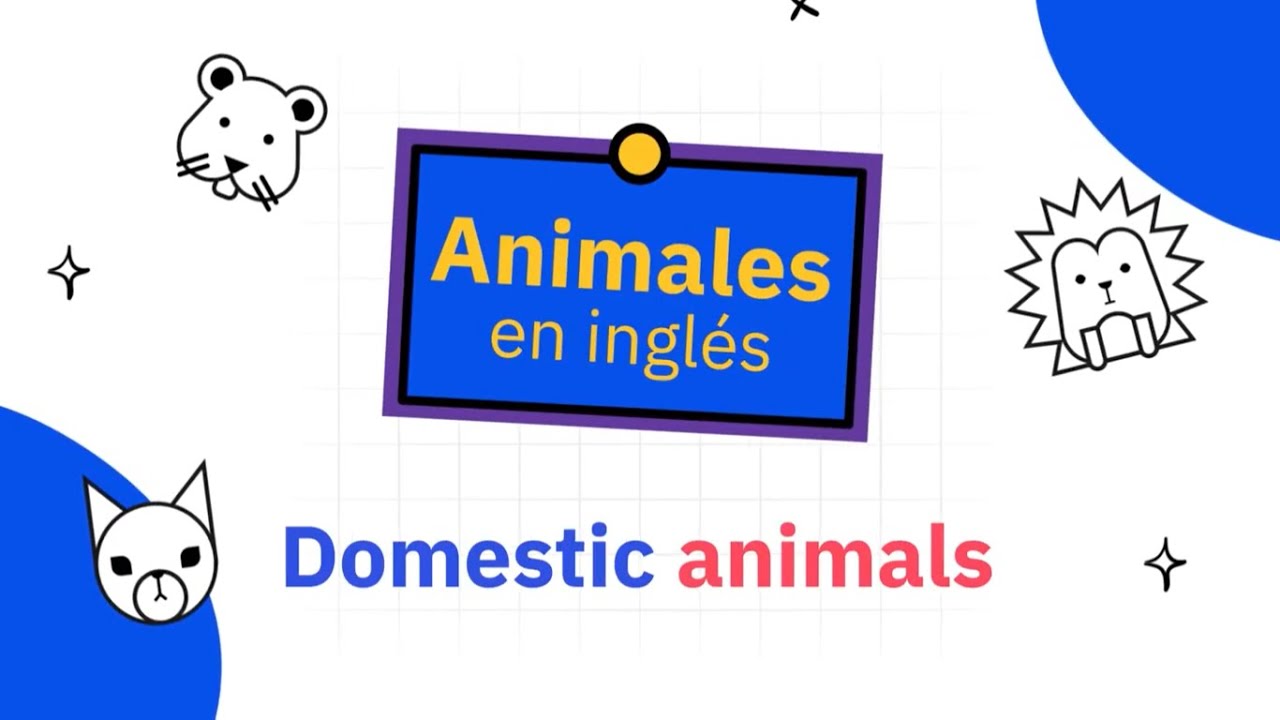 Animales domésticos en inglés - YouTube