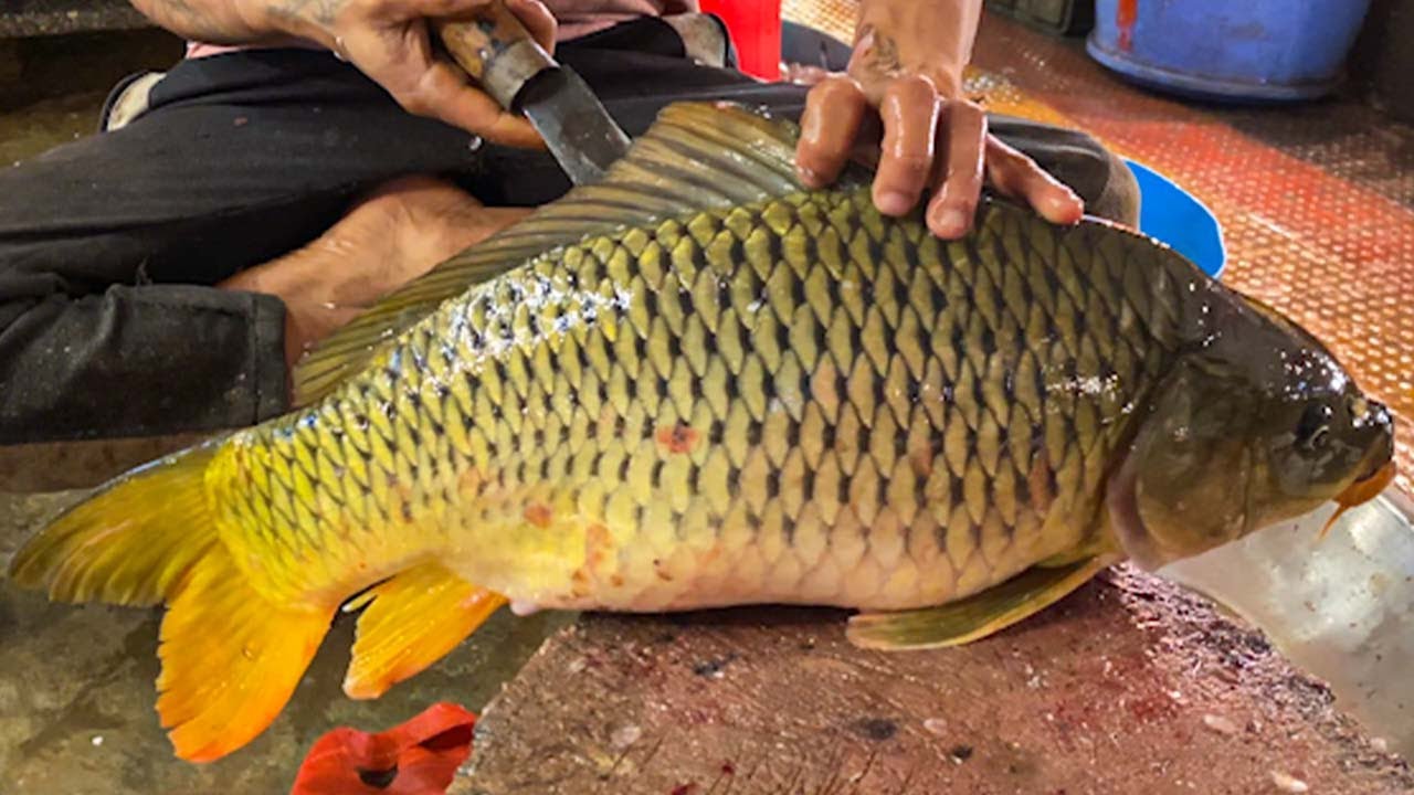 Amazing Live Carp Fish Cutting & Chopping In Fish Market Bangladesh ...