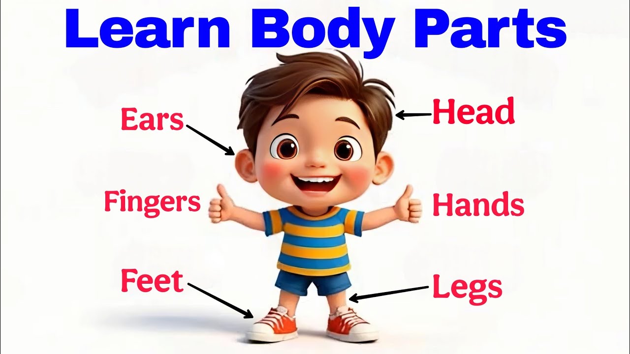 Body Parts for Kids | Body Parts Names | Educational Video for Toddlers ...