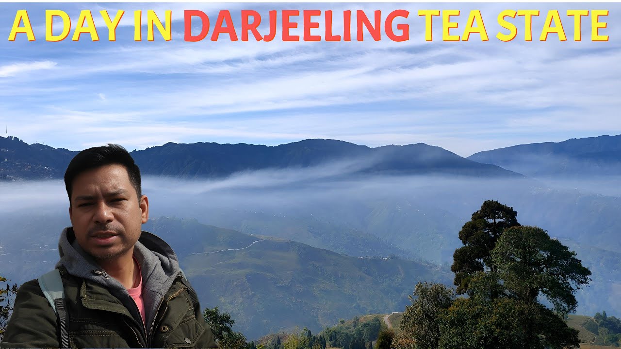 ONE OF THE BIGGEST TEA STATE IN DARJEELING - YouTube