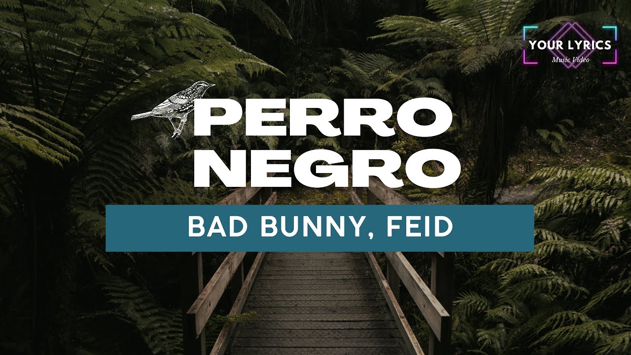 Bad Bunny ft Feid - PERRO NEGRO (Lyrics/ letra) - YouTube