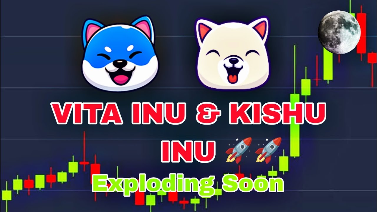 VITA Inu Coin News | Kishu Inu Coin News | Bull Run | 1000x Easy ...