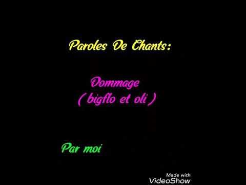 Dommage (Bigflo et Oli) avec paroles - Paroles de Chants - YouTube