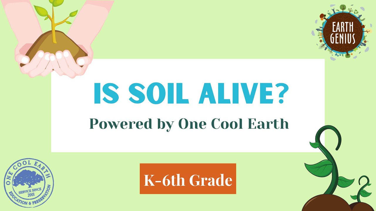 Is Soil Alive with Natalie - YouTube