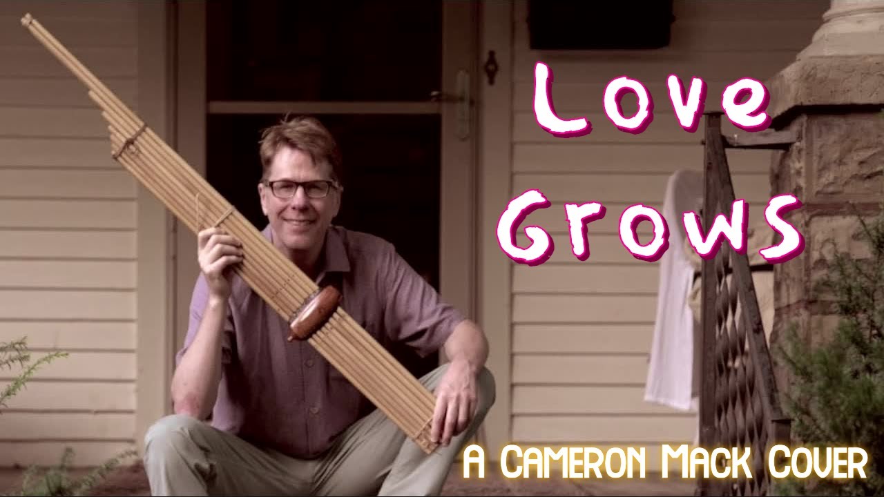 "Love Grows" | Song by Hal Walker| Cover by Cameron Mack - YouTube