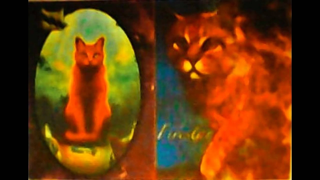 Warriors real cats to the character Competition - YouTube