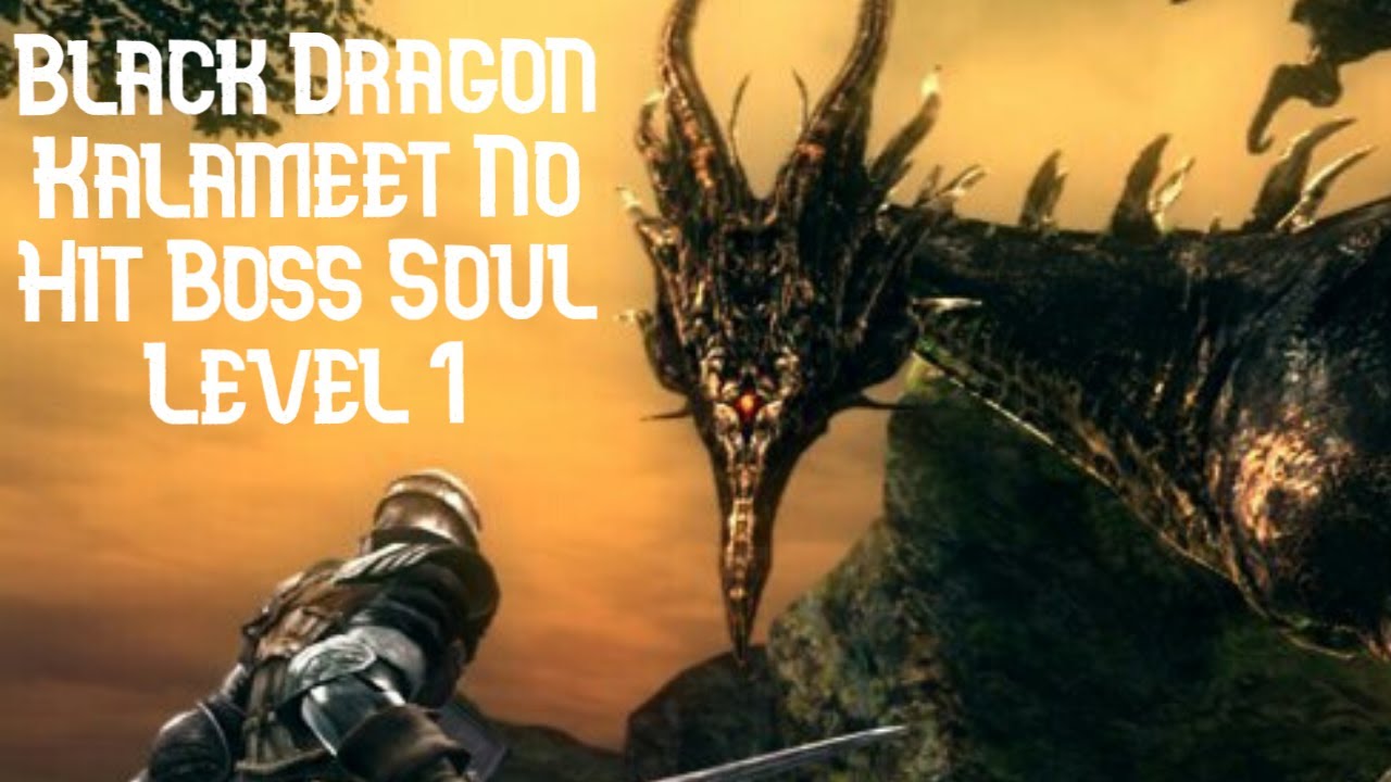No Hit/Flawless Soul Level 1 Black Dragon Kalameet Dark Souls ...