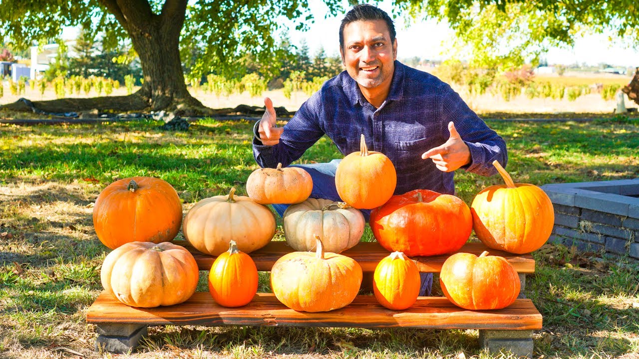 7 Pumpkins You Must Grow - YouTube