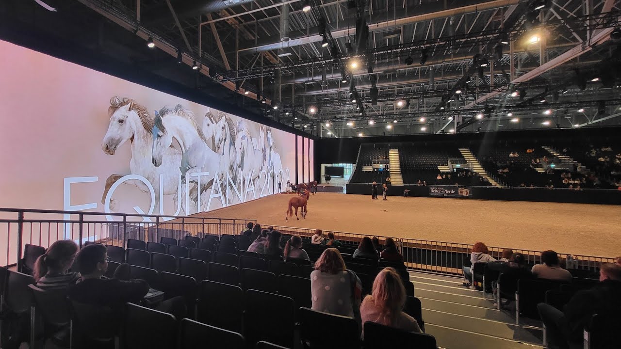 Besuch auf der Pferdemesse EQUITANA 2023 in Essen - YouTube