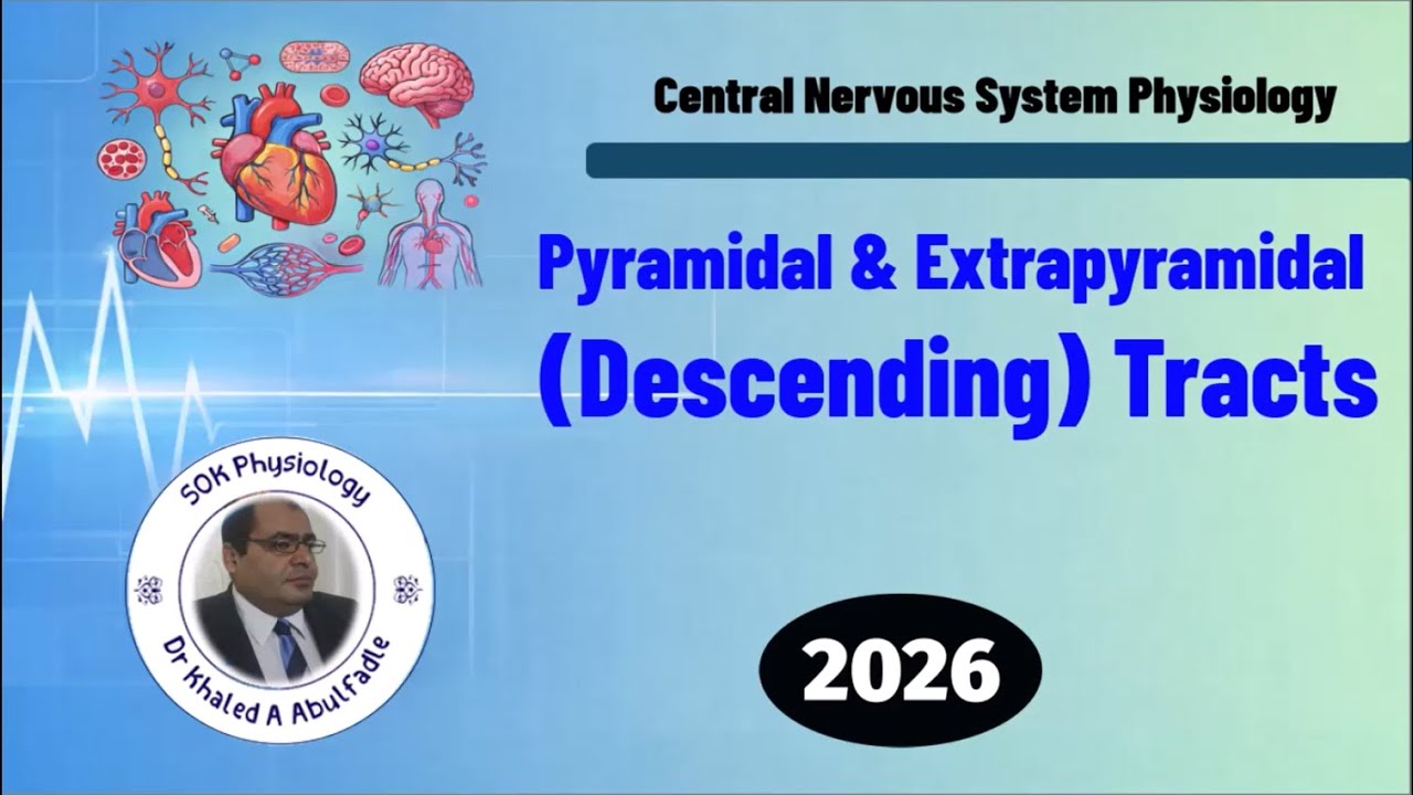 Pyramidal & Extrapyramidal (Descending) Tracts (1-2026) by Dr Khaled A ...