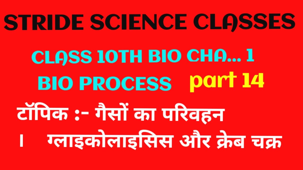class 10th bio cha. 1bio process part 14 - YouTube