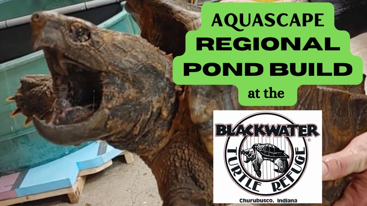Regional Pond Build at Blackwater Turtle Refuge by Aquascape - YouTube