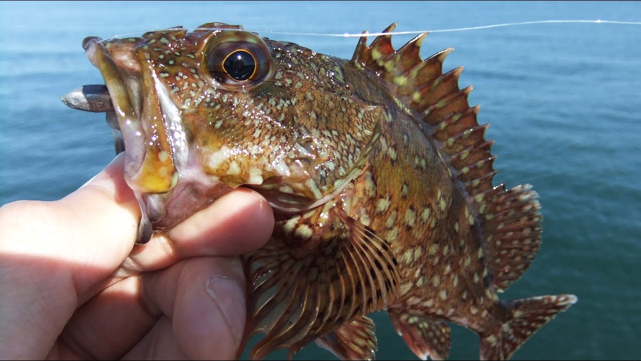 My Fishing slideshow 2013 - YouTube