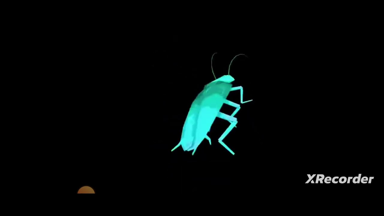 A rainbow cockroach dancing around the world - YouTube