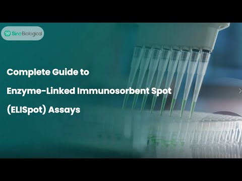 A Step-by-Step Guide to ELISpot Assays - YouTube